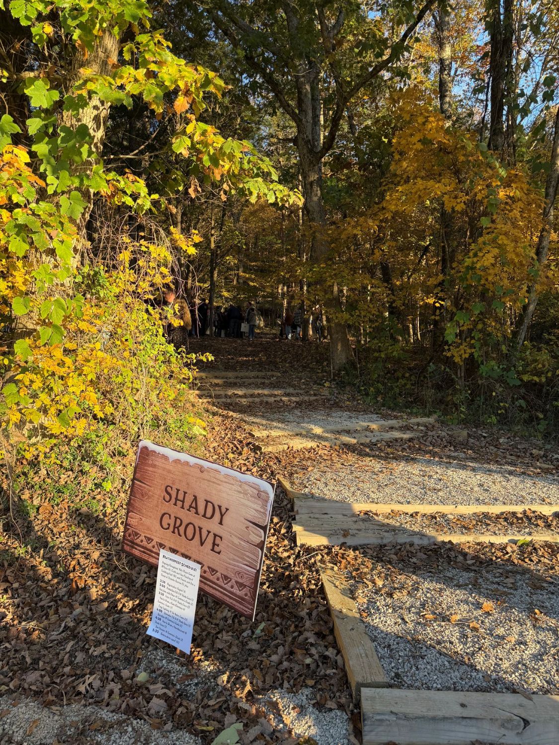 Wingfeather Saga’s Immersive Premier / One-On-One with Podo – CCM Magazine